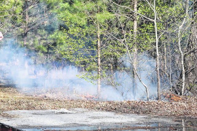 Various county fire departments and others battle fire on Pine Grove ...