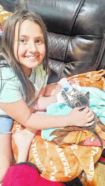 Fostering felines - Herald-Advocate